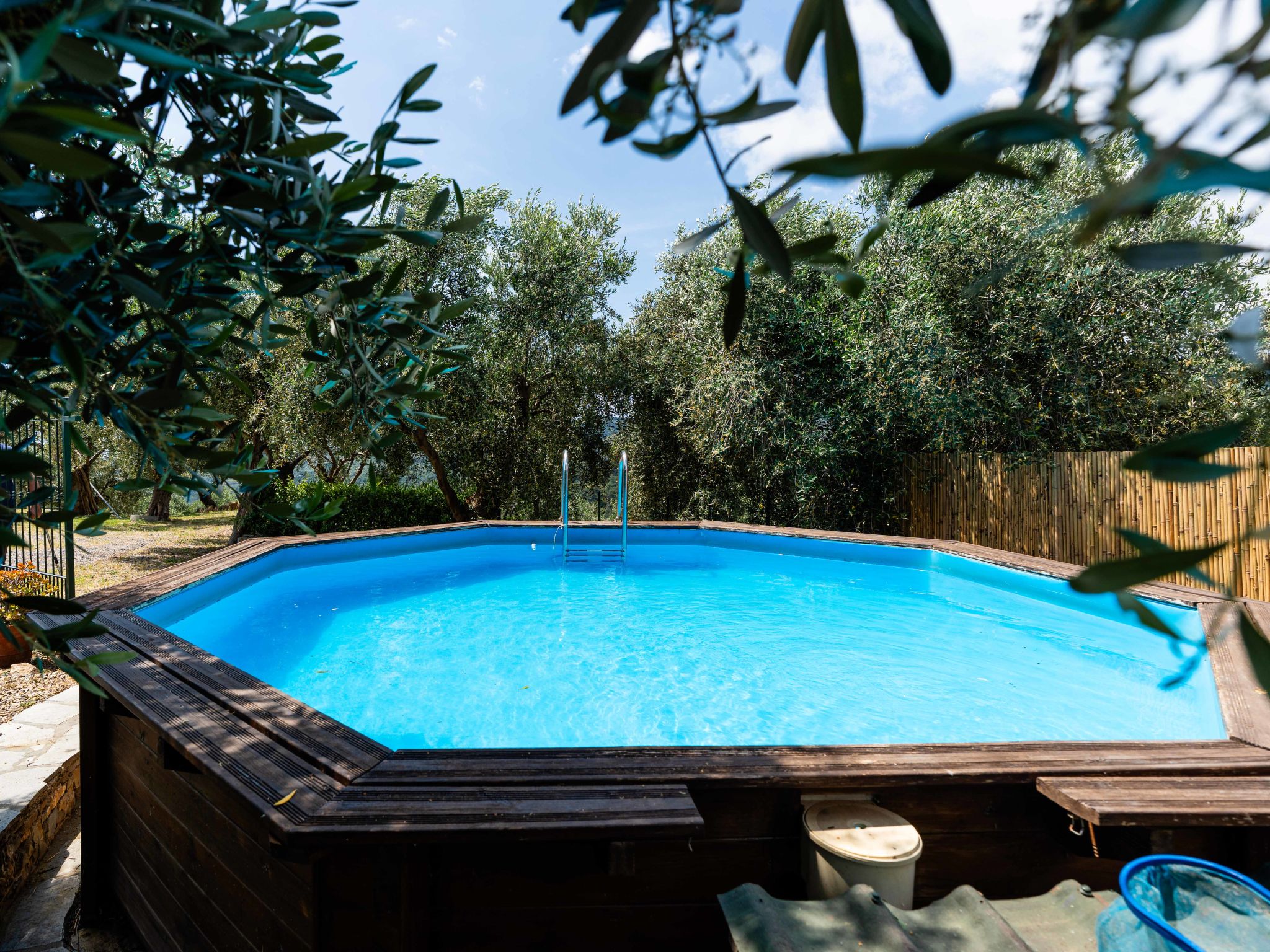 Olive Lodge Rentals | Lake.com
