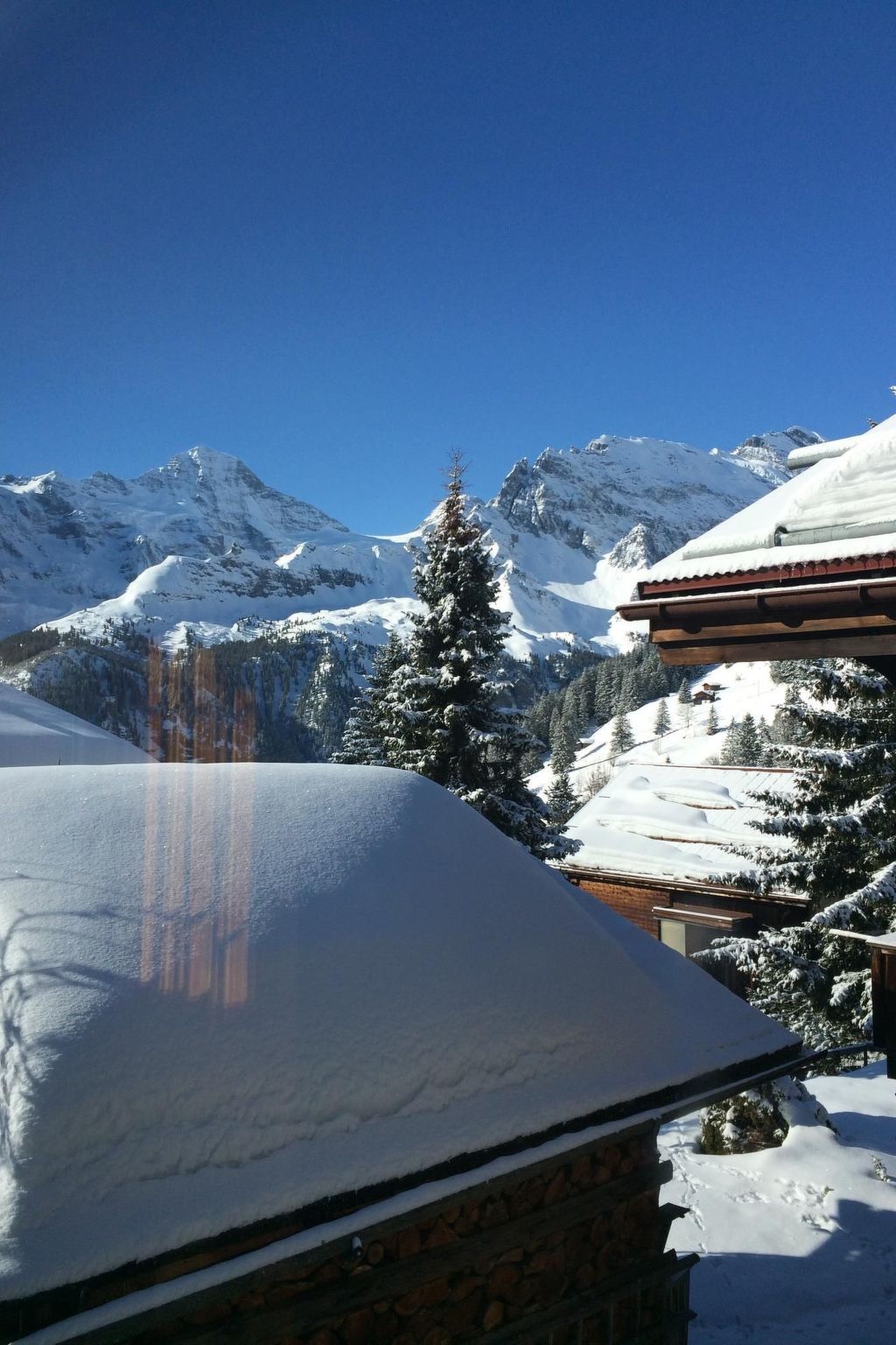Chalet Alpenblick 4-Bett Wohnung Rentals | Lake.com